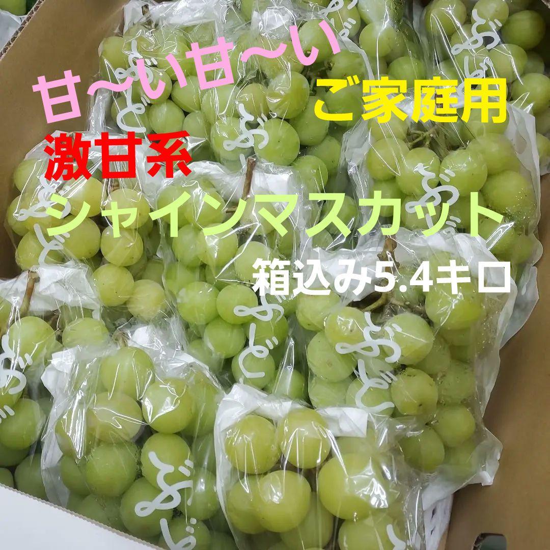 5️⃣ 山梨県産 シャインマスカット １２房入り 箱込み5.4キロ