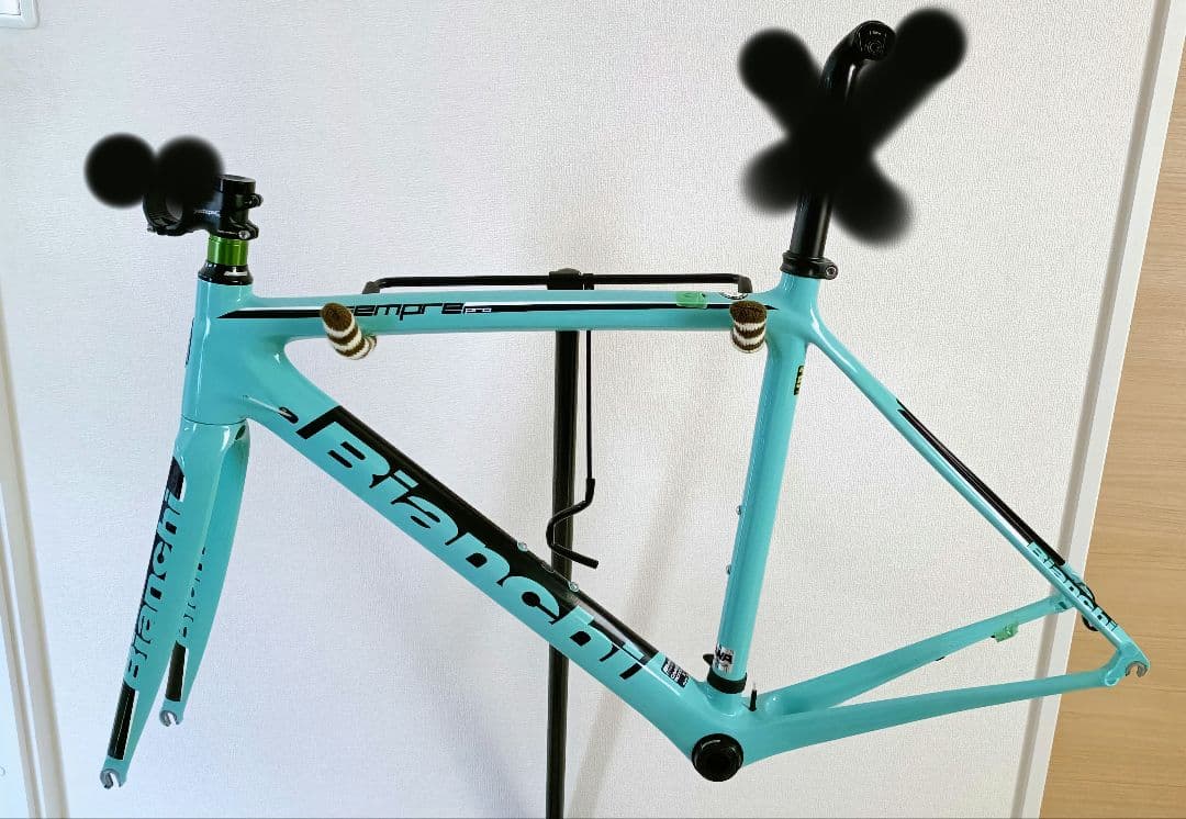 Bianchi sempre pro 53サイズ フレームセット