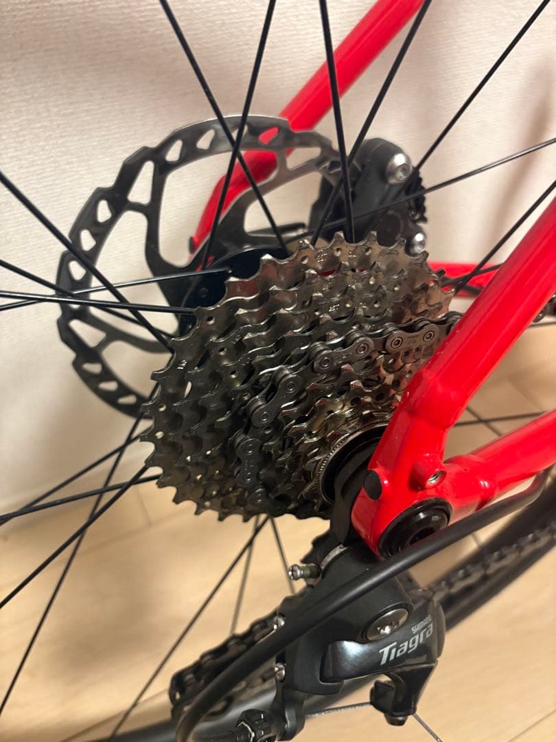 自転車本体 TREK DOMANE AL4 DISC GEN4 52