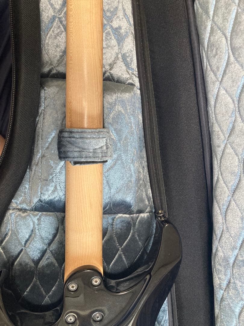 ギター Caparison Dellinger Prominence