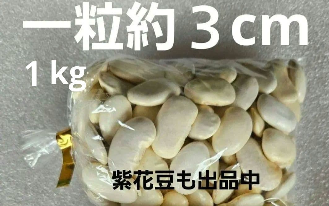 期間限定価格⭐群馬県産　白いんげん豆　令和６年度産　3.5キロ
