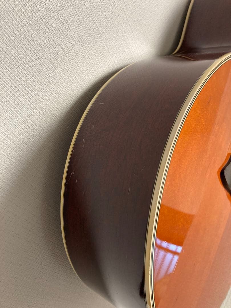 Takamine エレアコ　ギター　タカミネ純正ケース付き