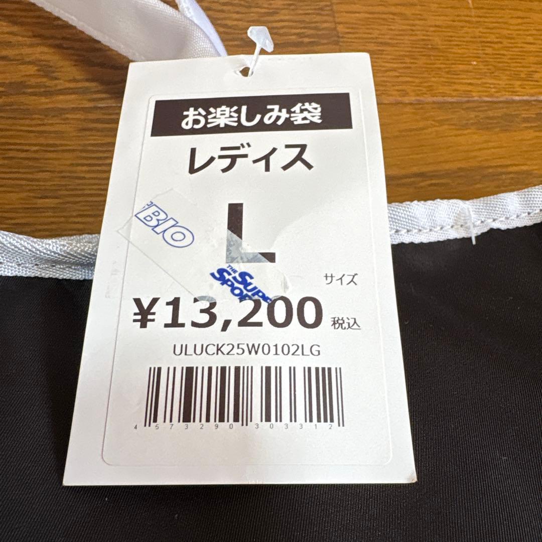アンダーアーマー レディース 『 Lサイズ 』 福袋