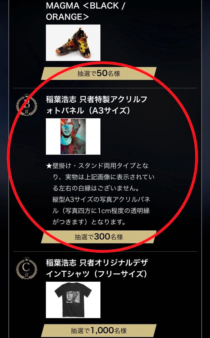 稲葉浩志 「只者」アクリルA3パネル 購入者限定SpecialキャンペーンB賞