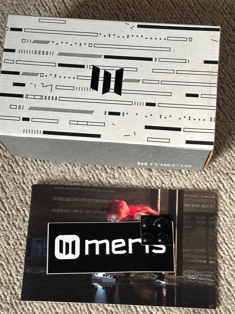 ギター Meris LVX