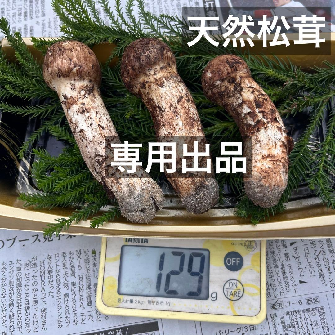 専用出品‼️天然松茸 広島産 10月15日採取　良品　本日発送‼️