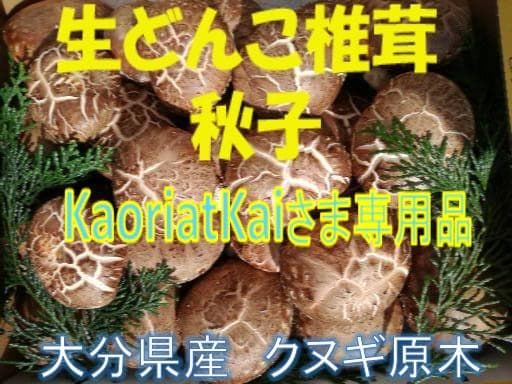 KaoriatKaiさまご予約専用 大分県特産 生どんこ椎茸「秋子」ダブル