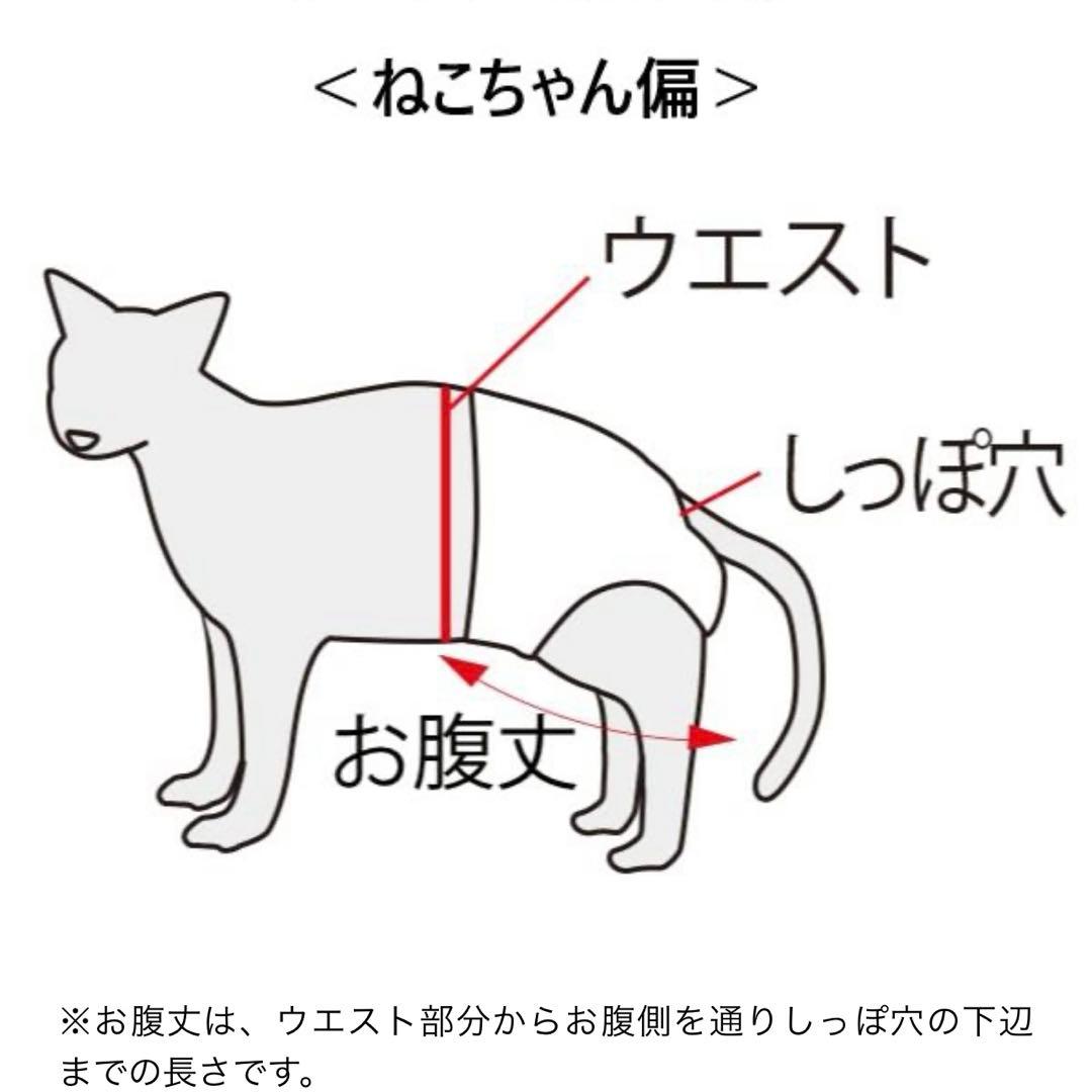 まる　PEPPY うんぽパンツSサイズ　131枚（36枚×3＋バラ23枚）