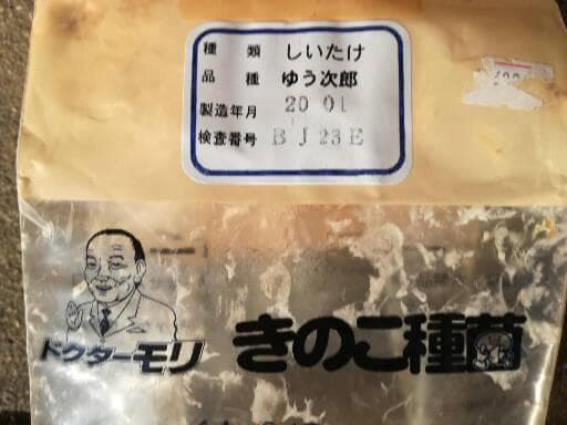 AKOさまご予約専用 大分県名産 生どんこ椎茸「秋子」ダブル