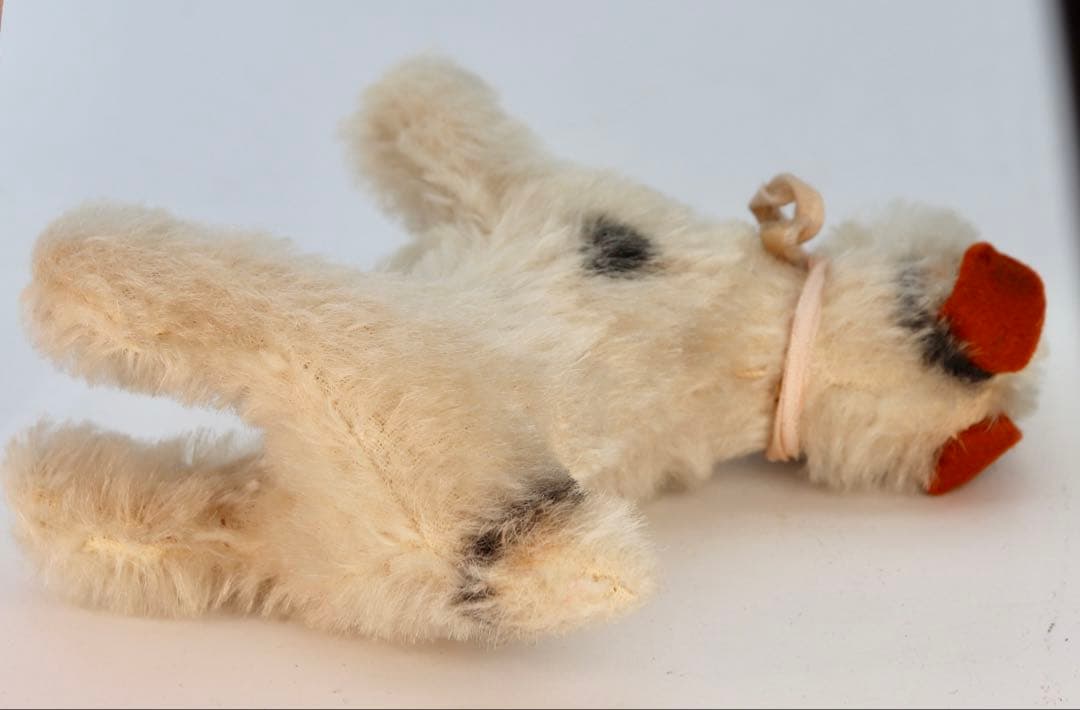 1954 FoxyTerrier シュタイフ・ビンテージ品 10cm ボタン無し