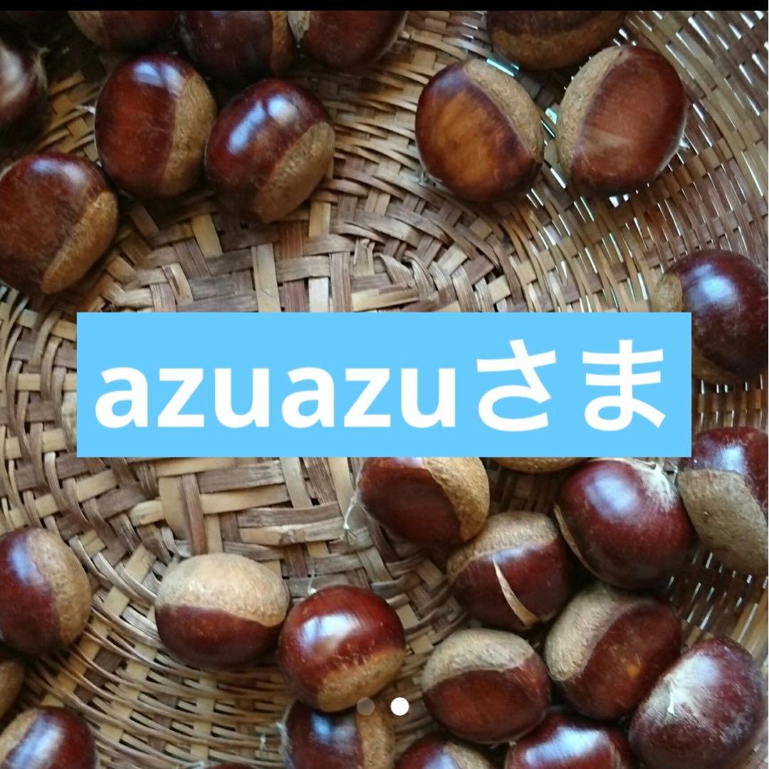 笠間の利平栗☆生栗☆栗