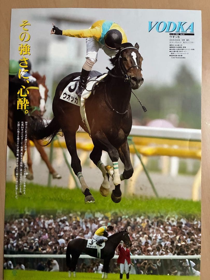 〜2/8期間限定値下げJRAヒーロー列伝 NO.65 ウォッカ　まとめ買い歓迎
