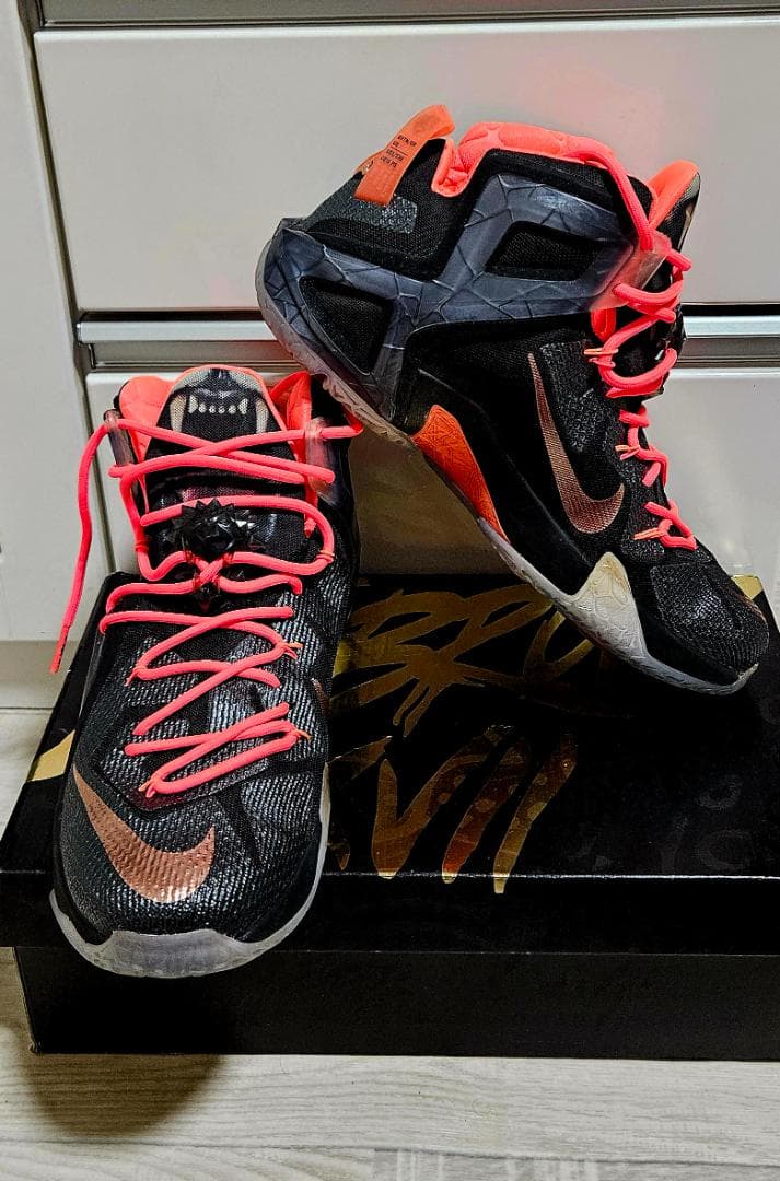 新品未使用Nike LeBron XII ELITE 12 31cm