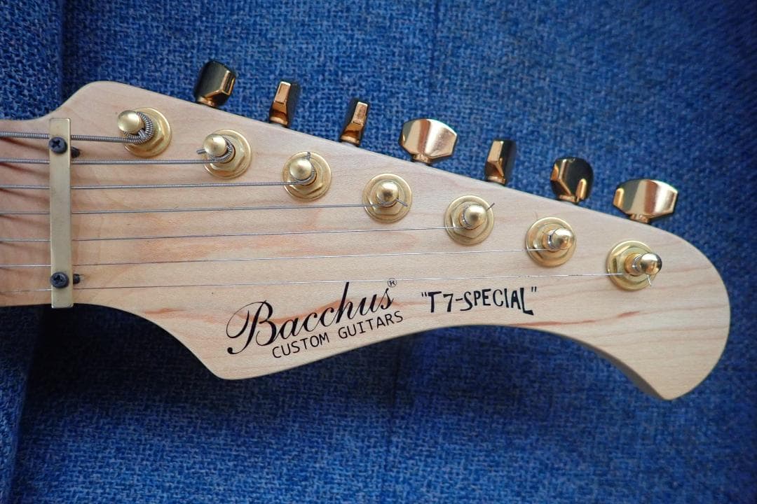 Bacchus バッカス T7-SPECIAL-I.C 7弦ギター