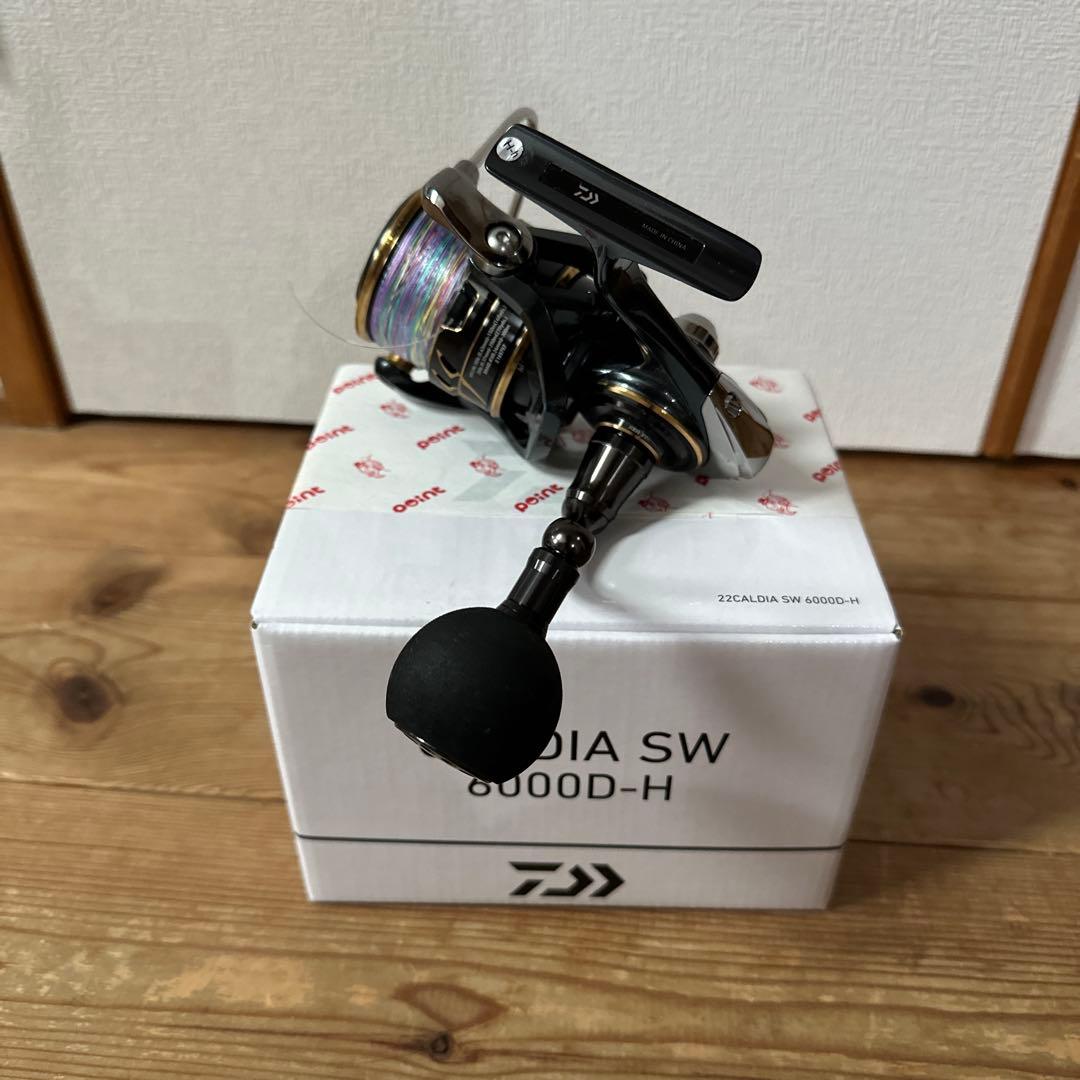 DAIWA CALDIA SW 6000D-H スピニングリール