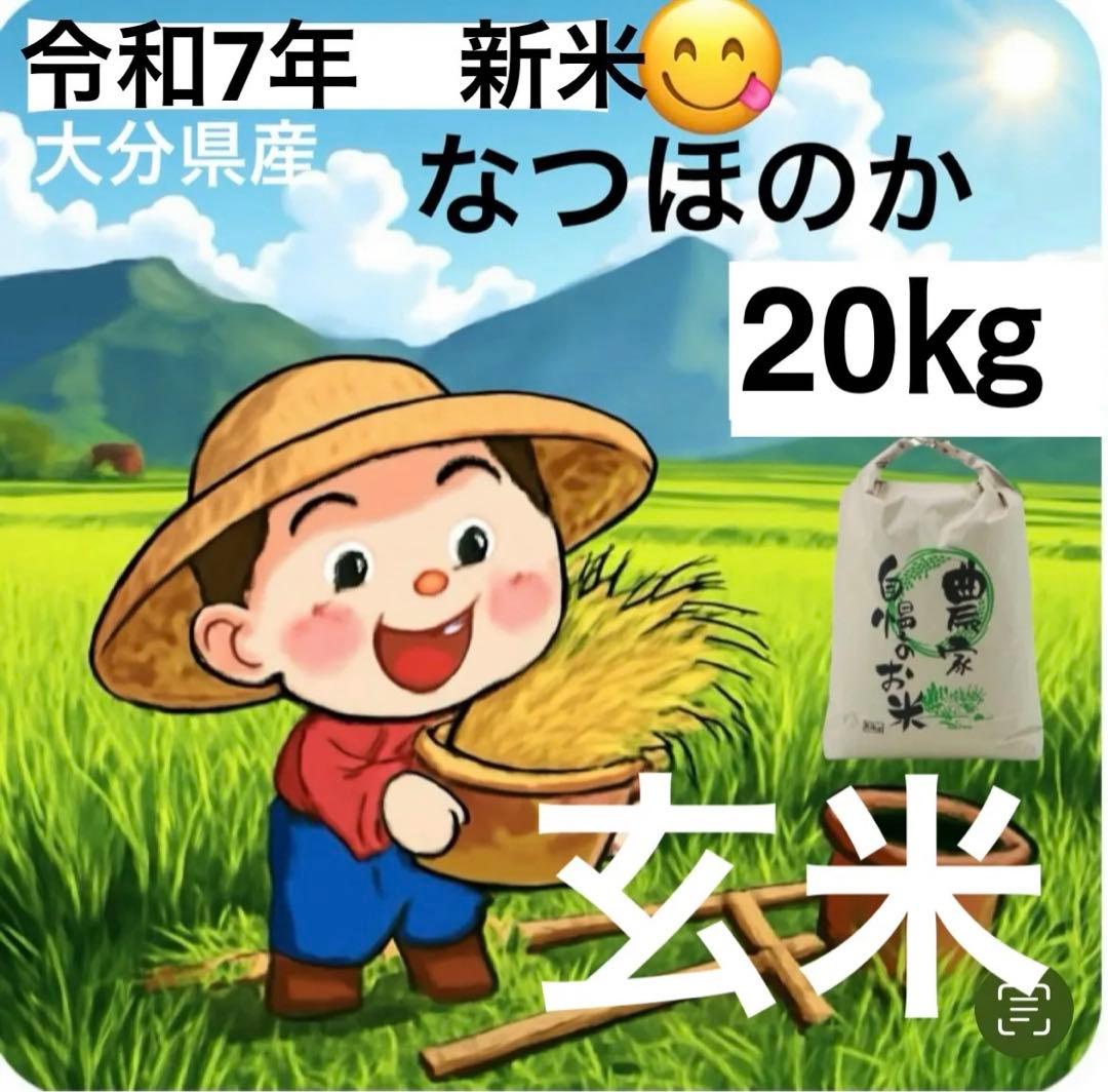 大分県産なつほのか　玄米20㎏キロ　こめ　お米10キロ㎏×2