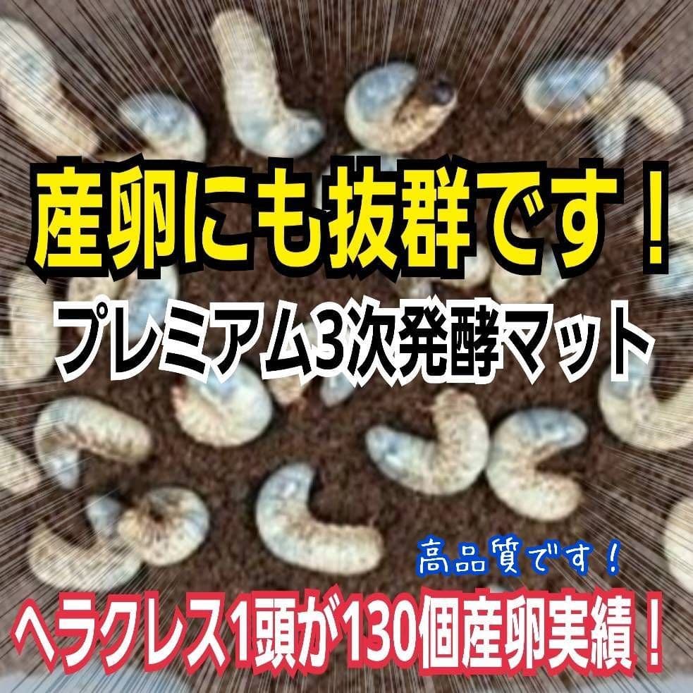 ヘラクレスが巨大化！プレミアム3次発酵カブトムシマット　60リットル　産卵にも！