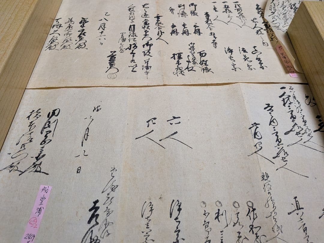 阿波徳島藩主蜂須賀家知行地内江戸時代１８２３年頃文政年間稀少レア古文書５枚セット