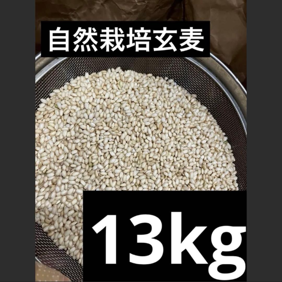 自然栽培　玄麦　13kg