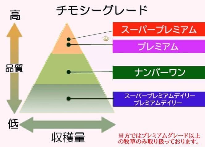 【12/30まで】US産 チモシー 60kg ２番刈 ソフトSプレミアム
