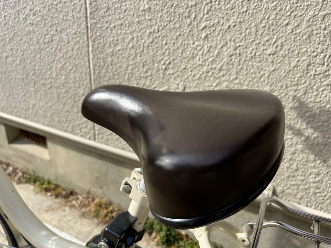 PAS SION 電動アシスト自転車