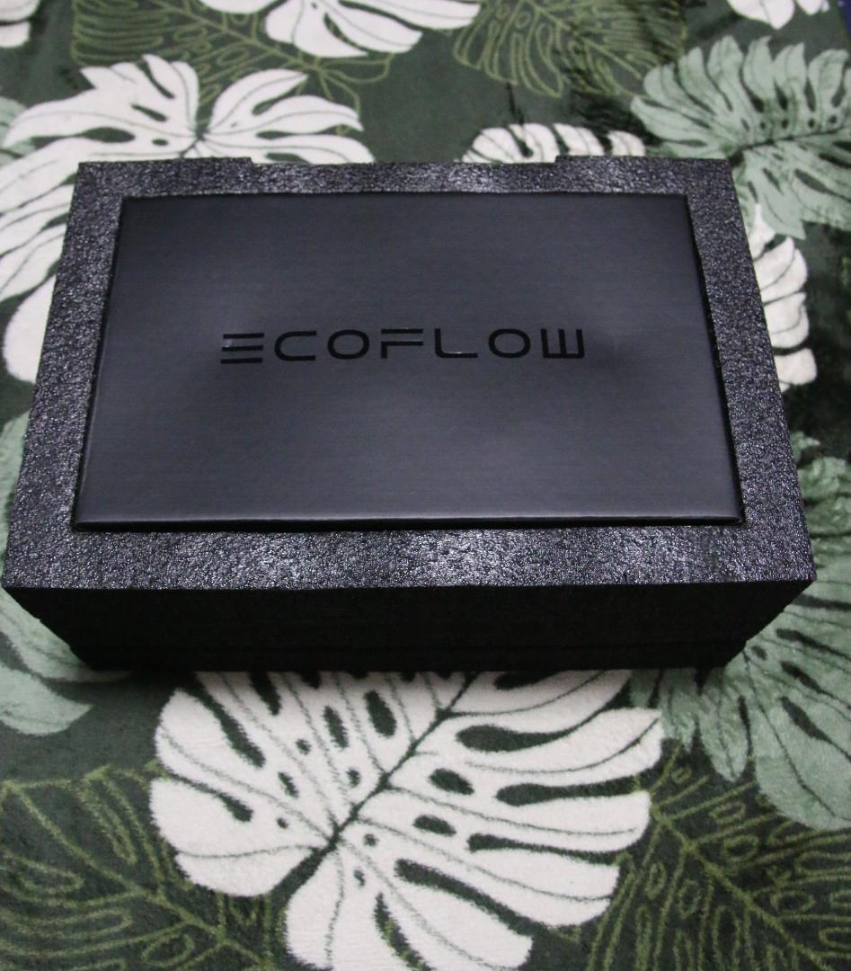 EcoFlow  Max 576Wh バッグ付