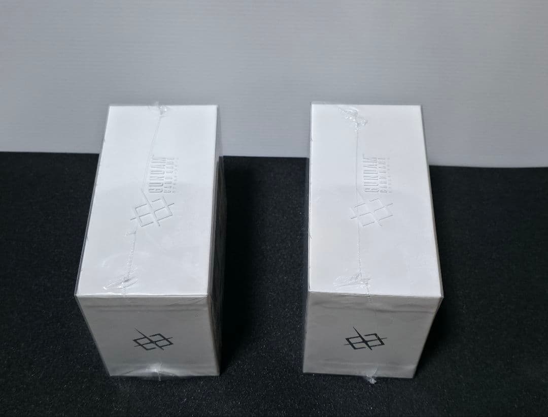 新品未開封.リミテッドBOX .Ver.β .ニュータイプ.ライジング最終値下げ