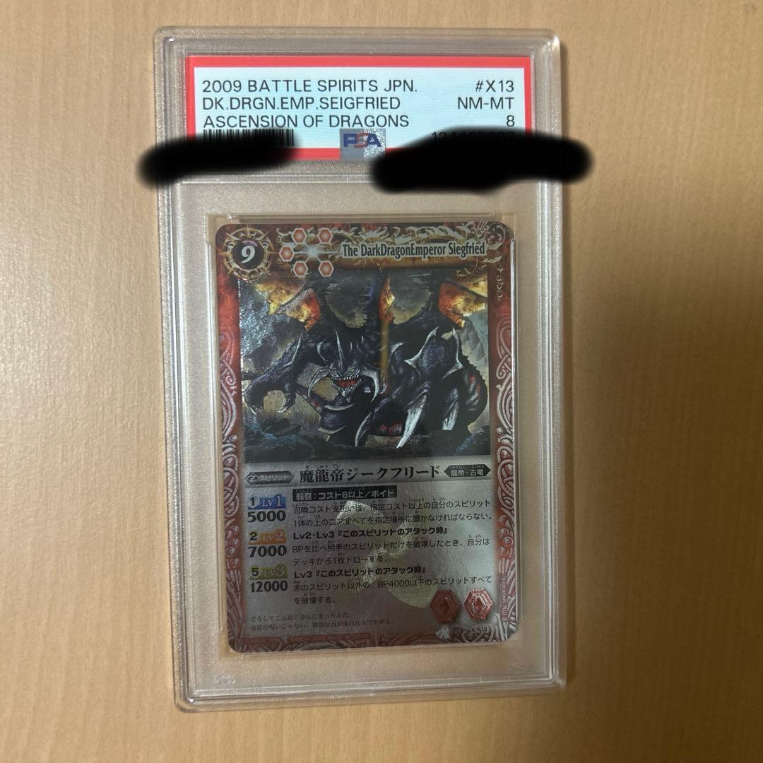 魔龍帝ジークフリード PSA8