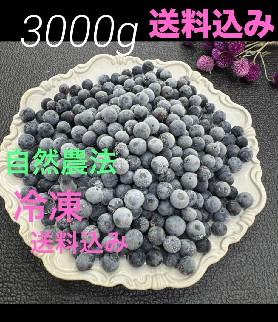 ハニー農園　冷凍ブルーベリー　3kg