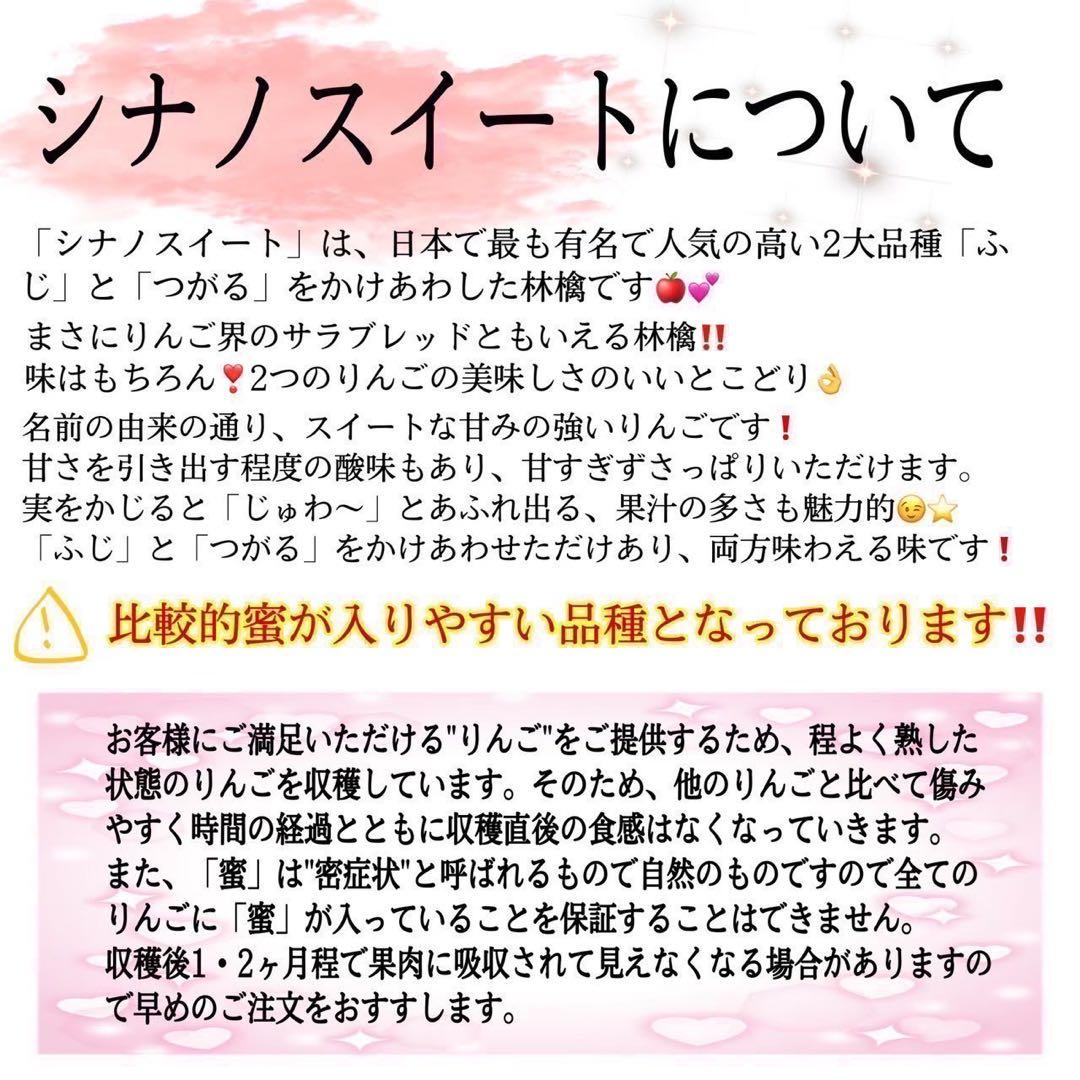 青森県産 ＂ シナノスイート ＂りんご 家庭用 10kg 産地直送 リンゴ 林檎