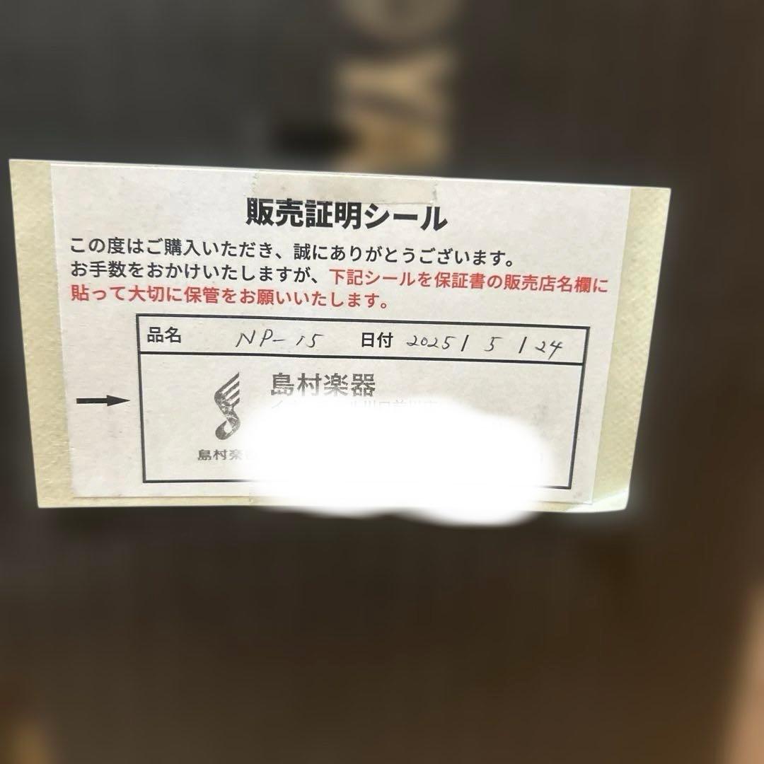 鍵盤楽器 YAMAHA piaggero NP-15B