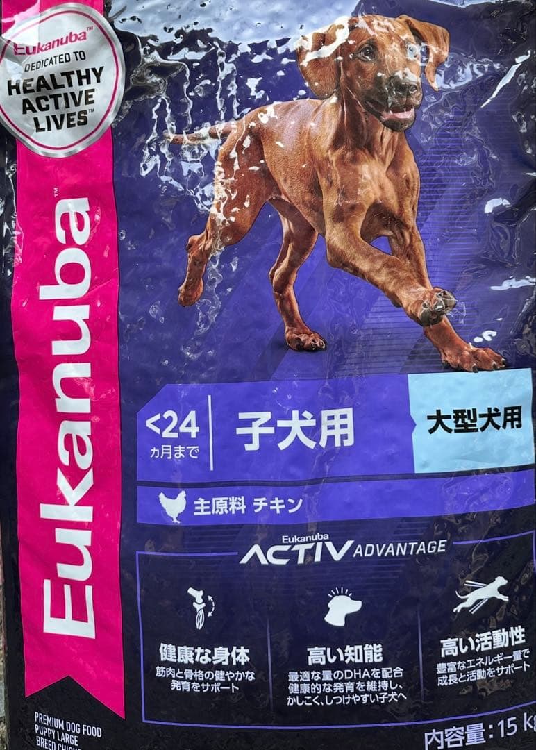 Eukanuba 大粒仔犬用 ドライフード 15kg