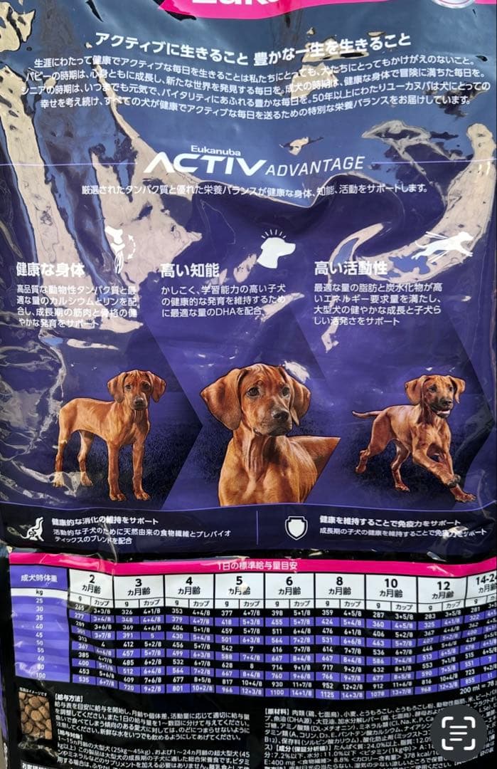 Eukanuba 大粒仔犬用 ドライフード 15kg