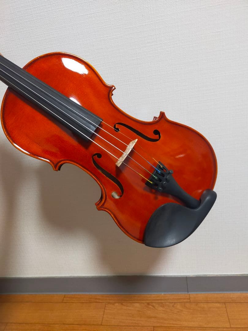 ヴァイオリン(a comtemporary violin)