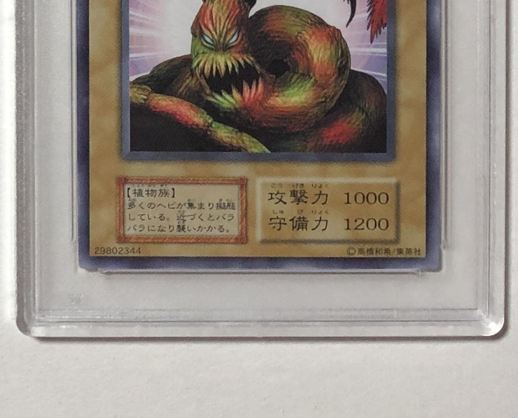 遊戯王 スネーク・パーム PSA10 初期 Vol.5【1999年物】