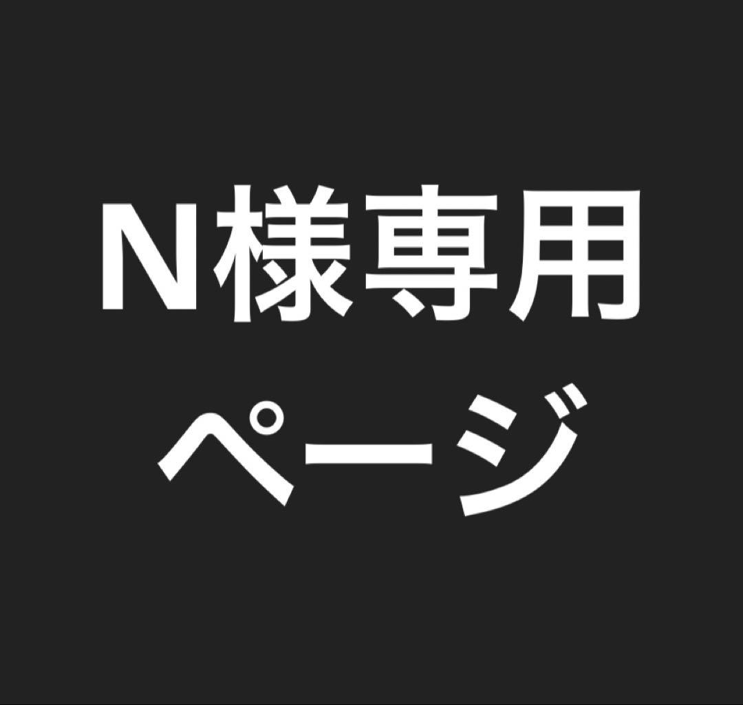 その他 N