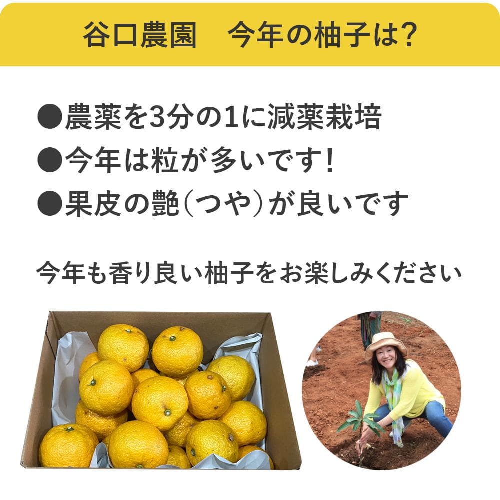 福岡県 糸島産 柚子 ゆず 4.5kg 約40～50個 業務用 家庭用 レシピ付