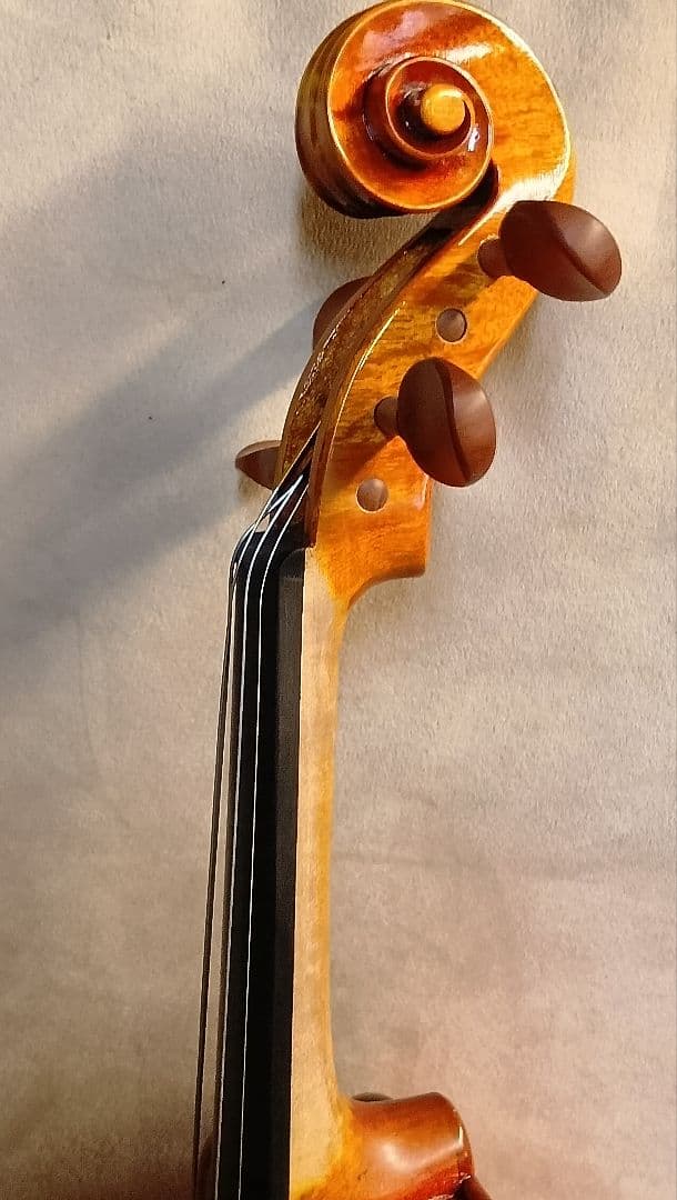 弦楽器 Alexander Violins VL250 4/4 Los Angeles