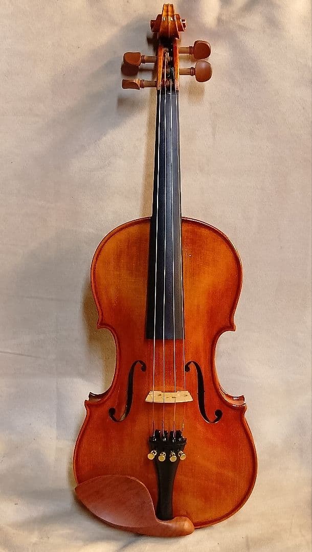 弦楽器 Alexander Violins VL250 4/4 Los Angeles