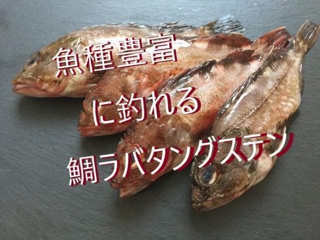 爆釣トリオ100g 計3個 タイラバ タングステン