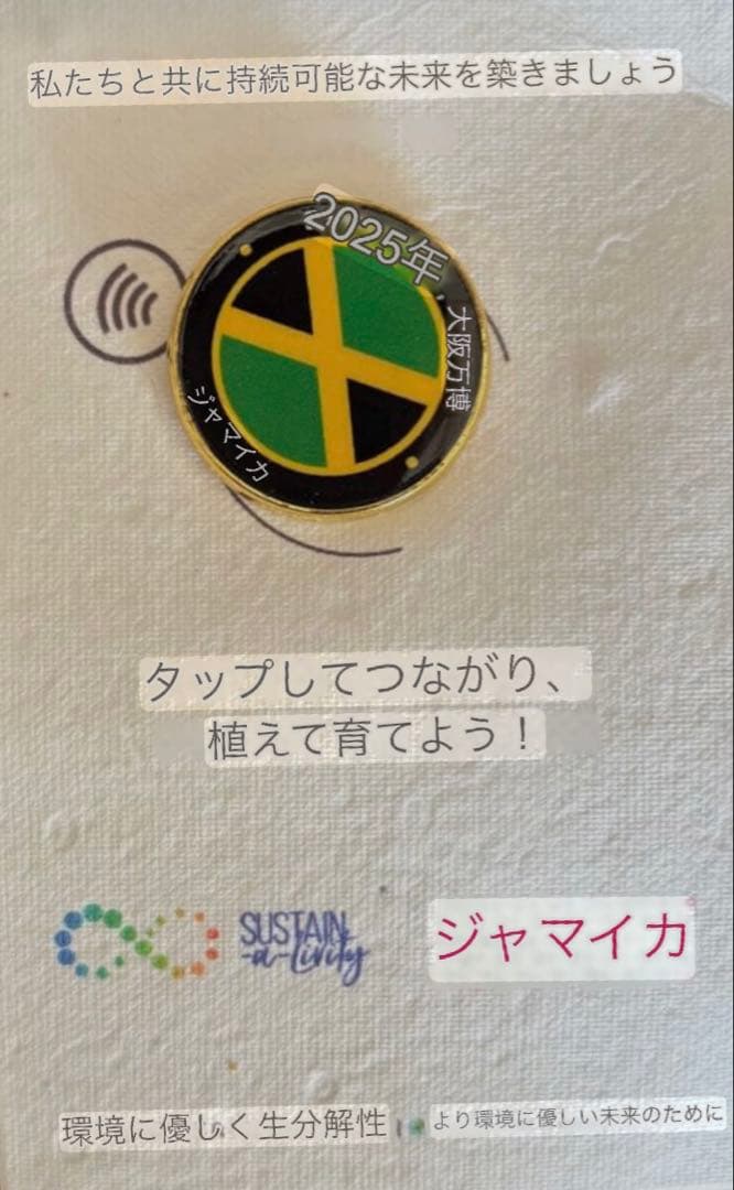激レア❗️ジャマイカNFCピンバッチ、キーホルダー木製ペン、バッジ台紙は種入り❗️