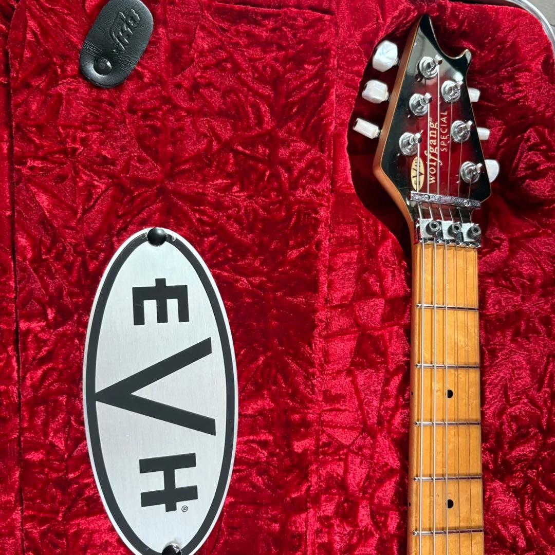 EVH「Wolfgang Special」