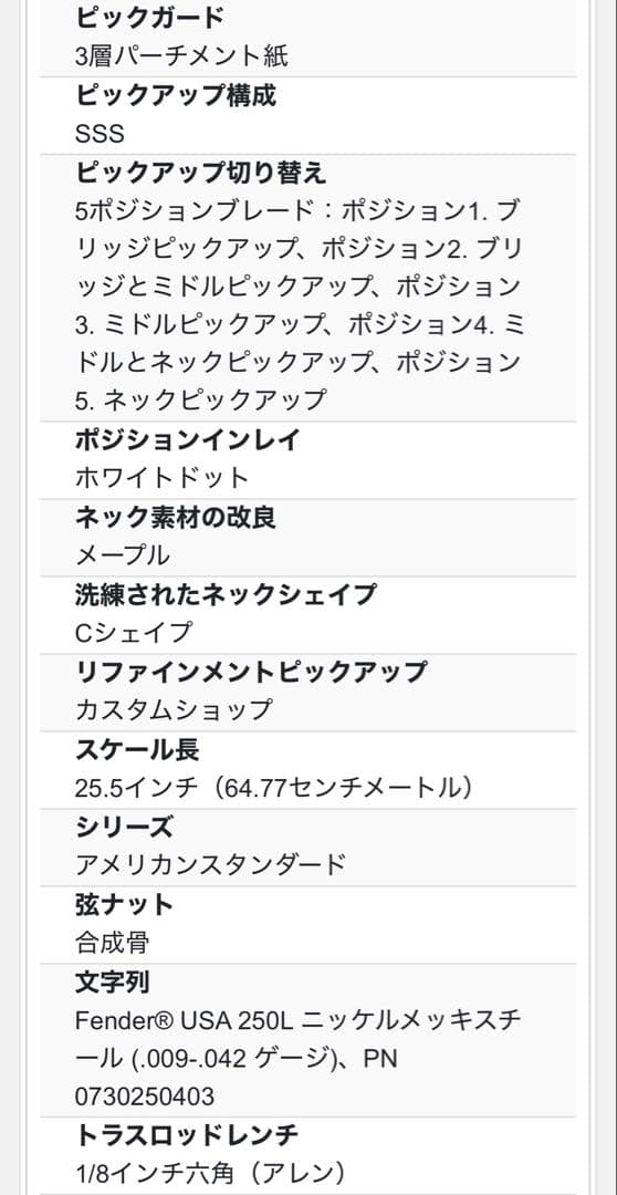 ⚫️ aksidmd さま専用⚫️ Fender Stratocaster