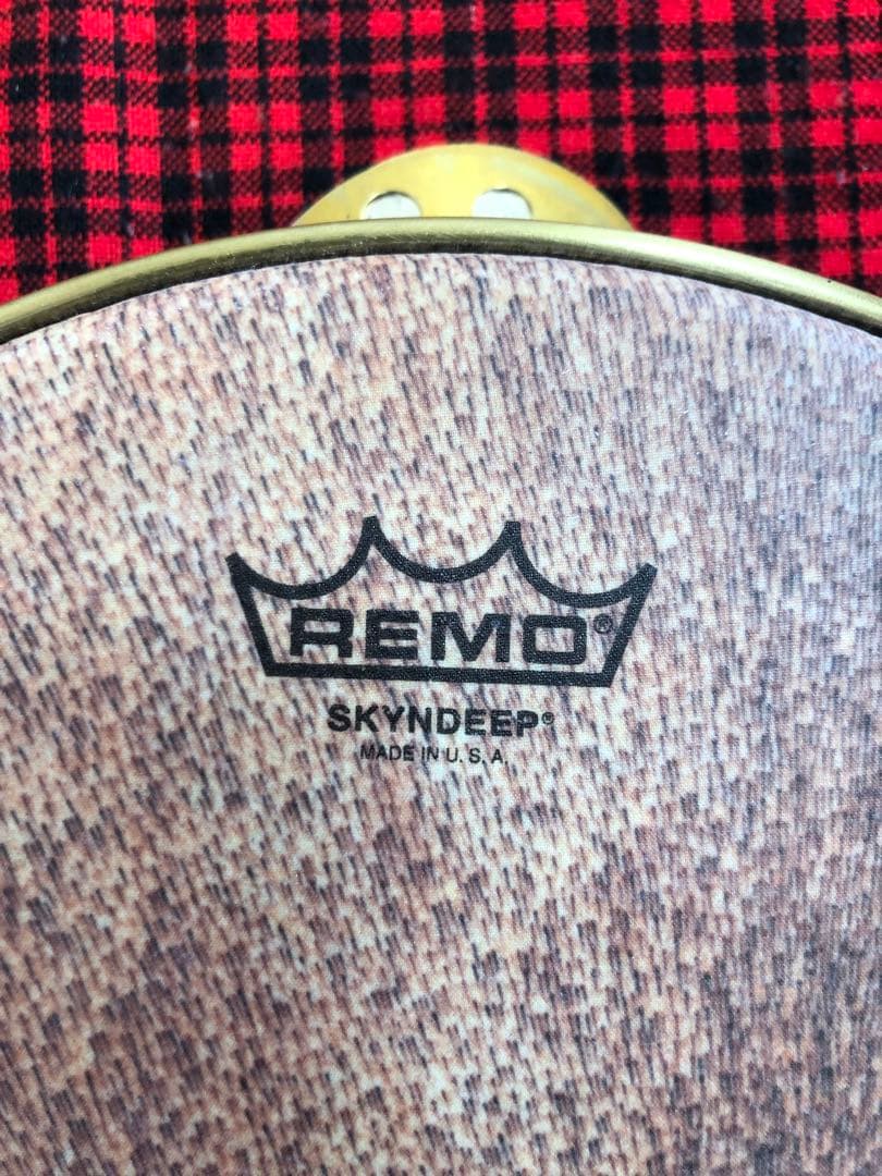 【再値下げ】REMO パンデイロ　PD-8210-81-113 Skyndeep