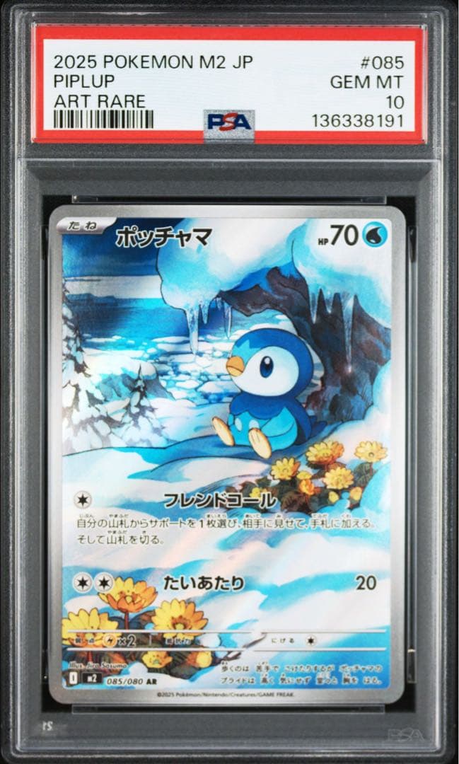 PSA10ポッチャマAR 8191