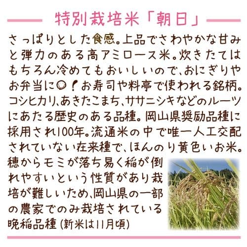 令和7年産 希少米 緑肥＆有機肥料 特別栽培米【朝日】15キロ