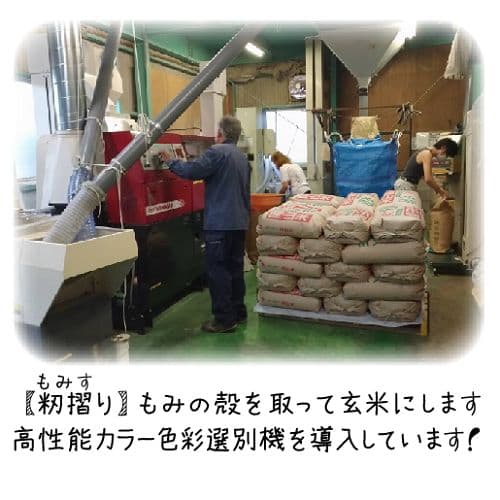 令和7年産 希少米 緑肥＆有機肥料 特別栽培米【朝日】15キロ