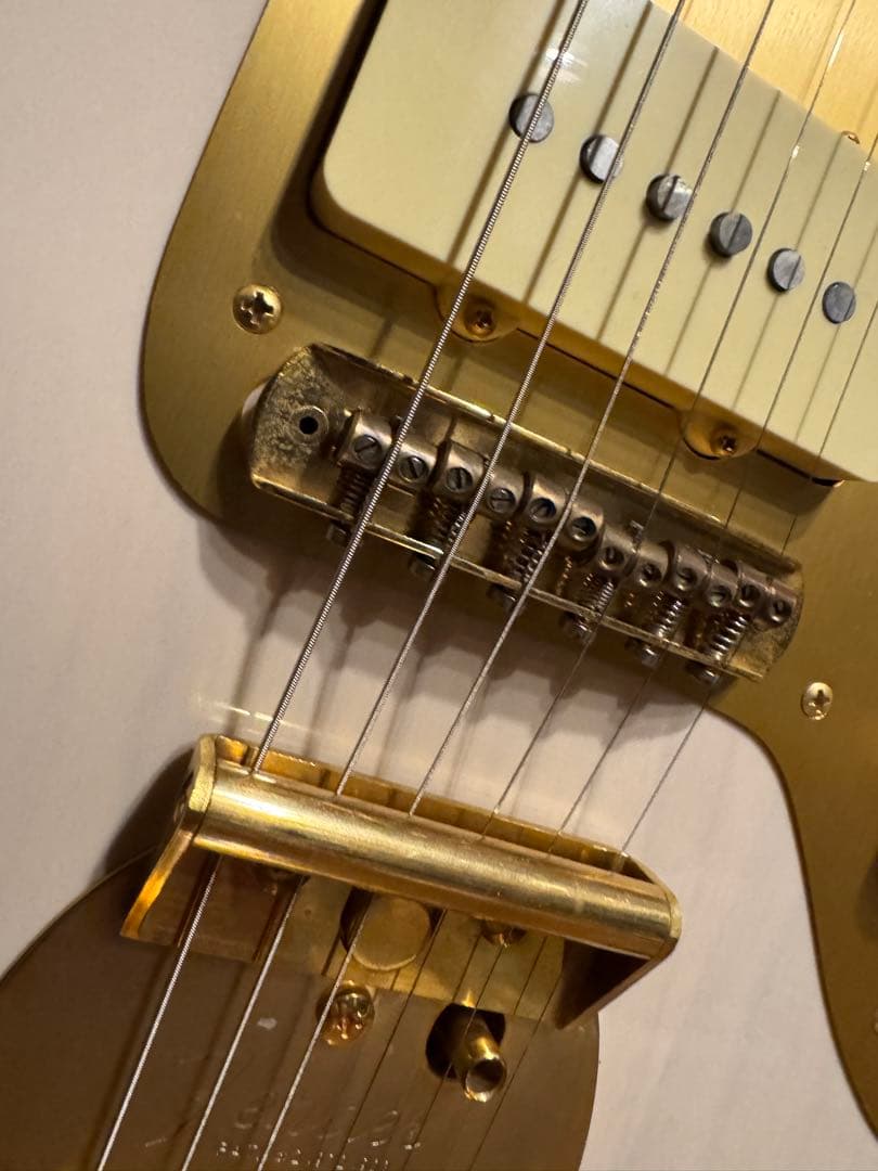 激レア世界限定30本Fender Japan JM66G USB/M 極美品