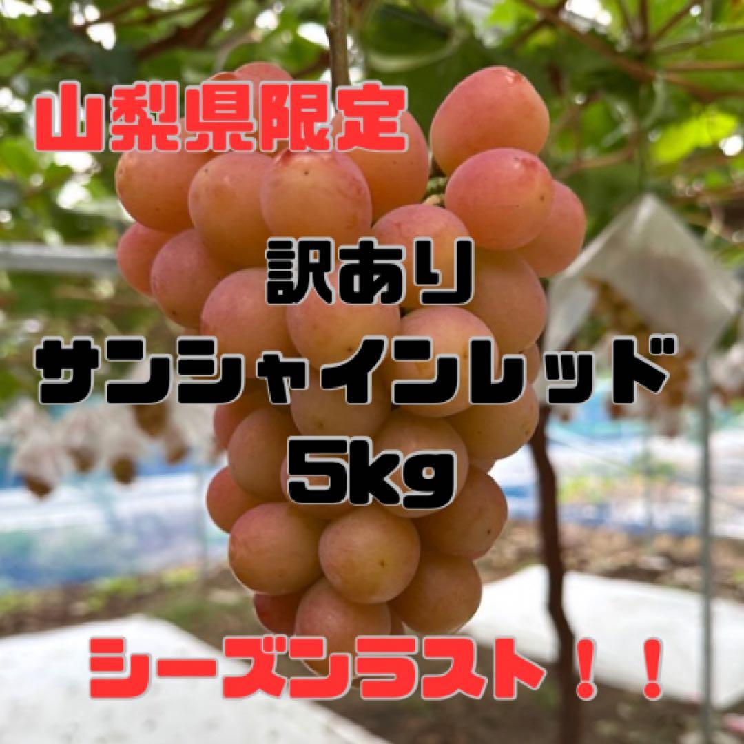 kaedenomo　【山梨県限定品種】訳ありサンシャインレッド 10kg