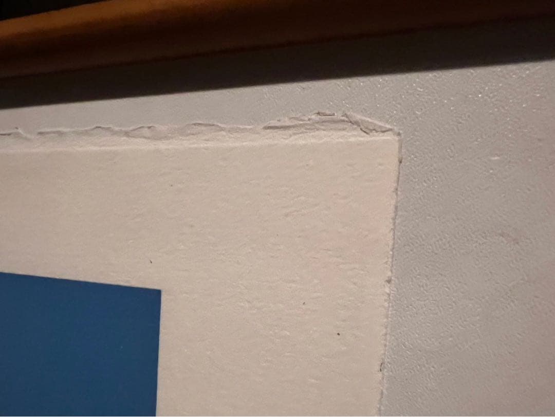 Alain Ragaru リトグラフ 額縁 インテリア 薔薇の盛花